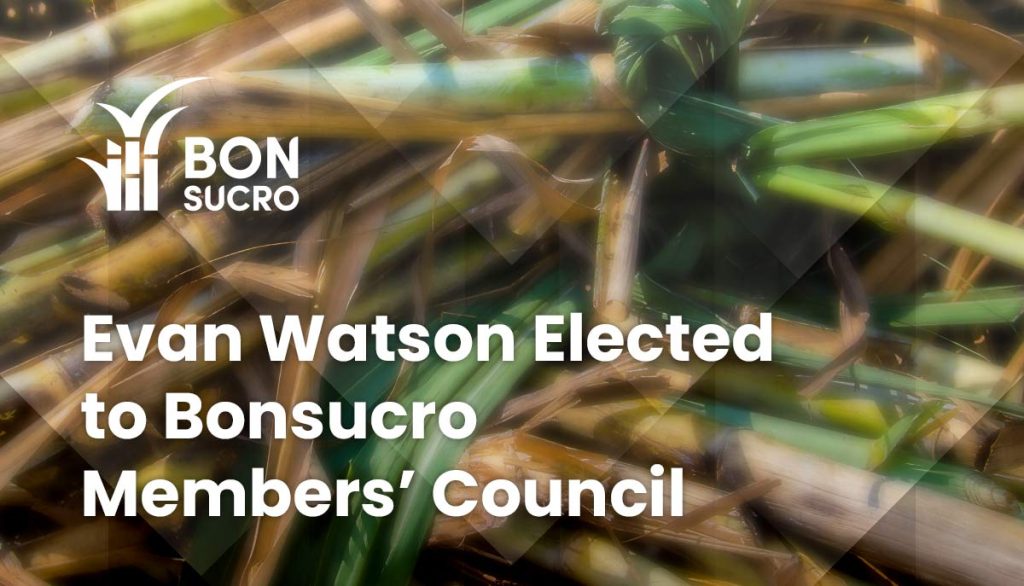 Chefe de Engajamento e Desenvolvimento da LIN, Evan Watson, eleito para ...